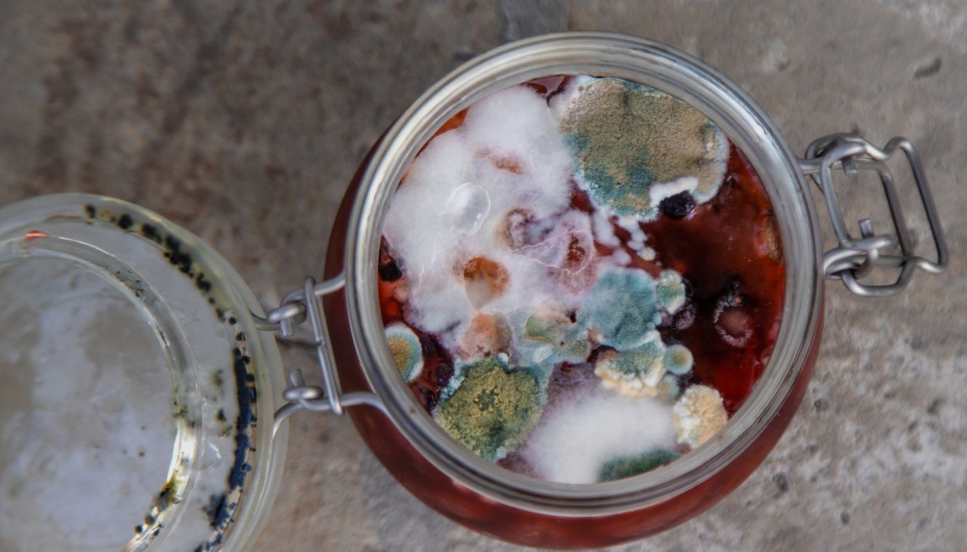 Can Kombucha Ferment Too Long: Turning Mistakes into Magic – thegoodbug