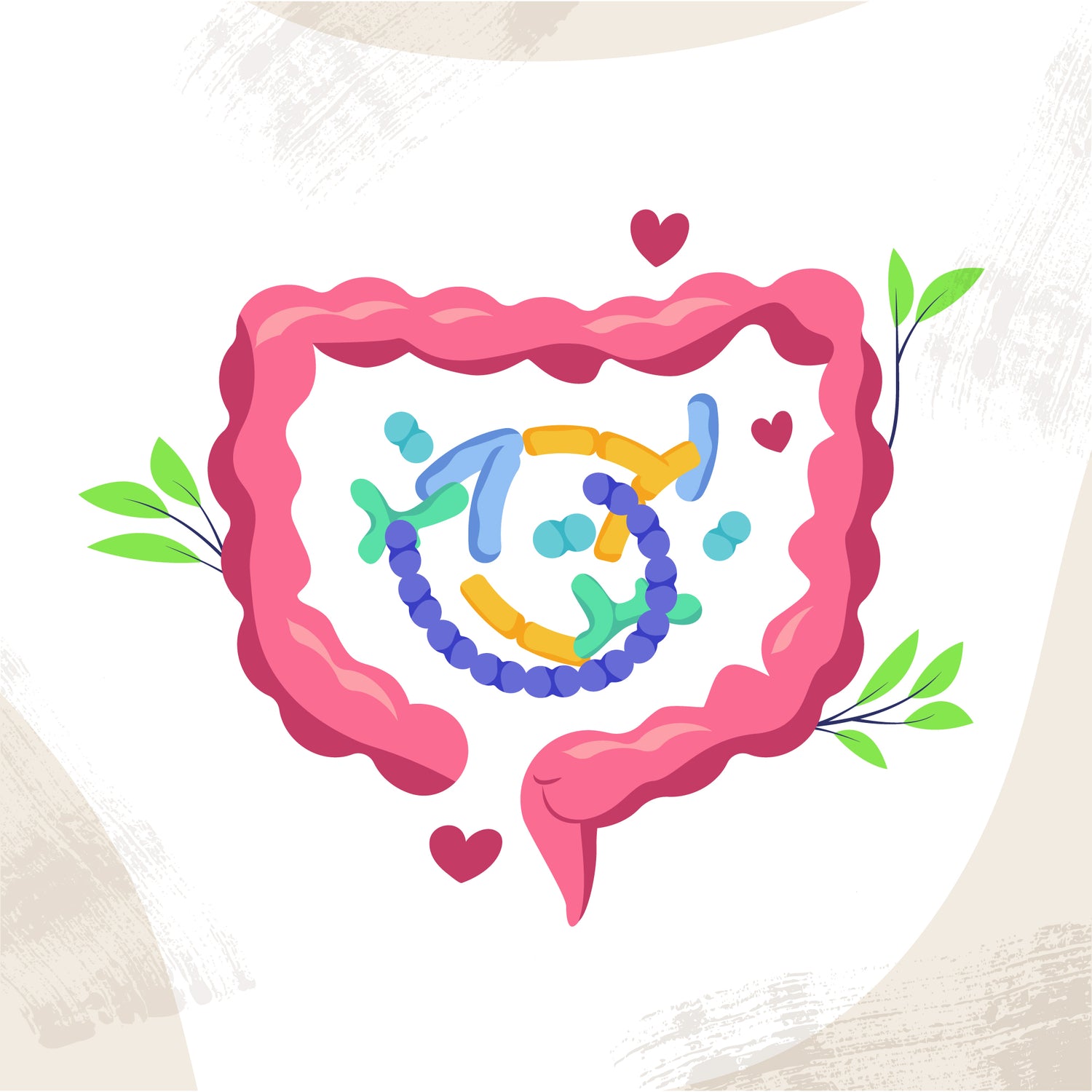 Reset Gut Your Microbiome With The Good Bug’s Gut Cleanse – thegoodbug