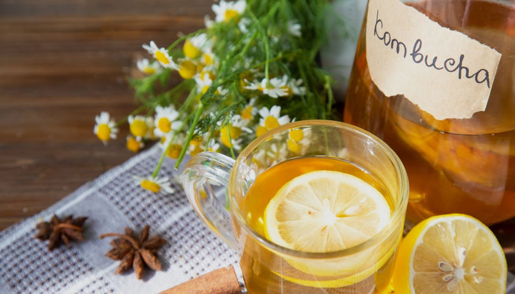 Beyond Plain: Exploring Unique Kombucha Flavours – thegoodbug