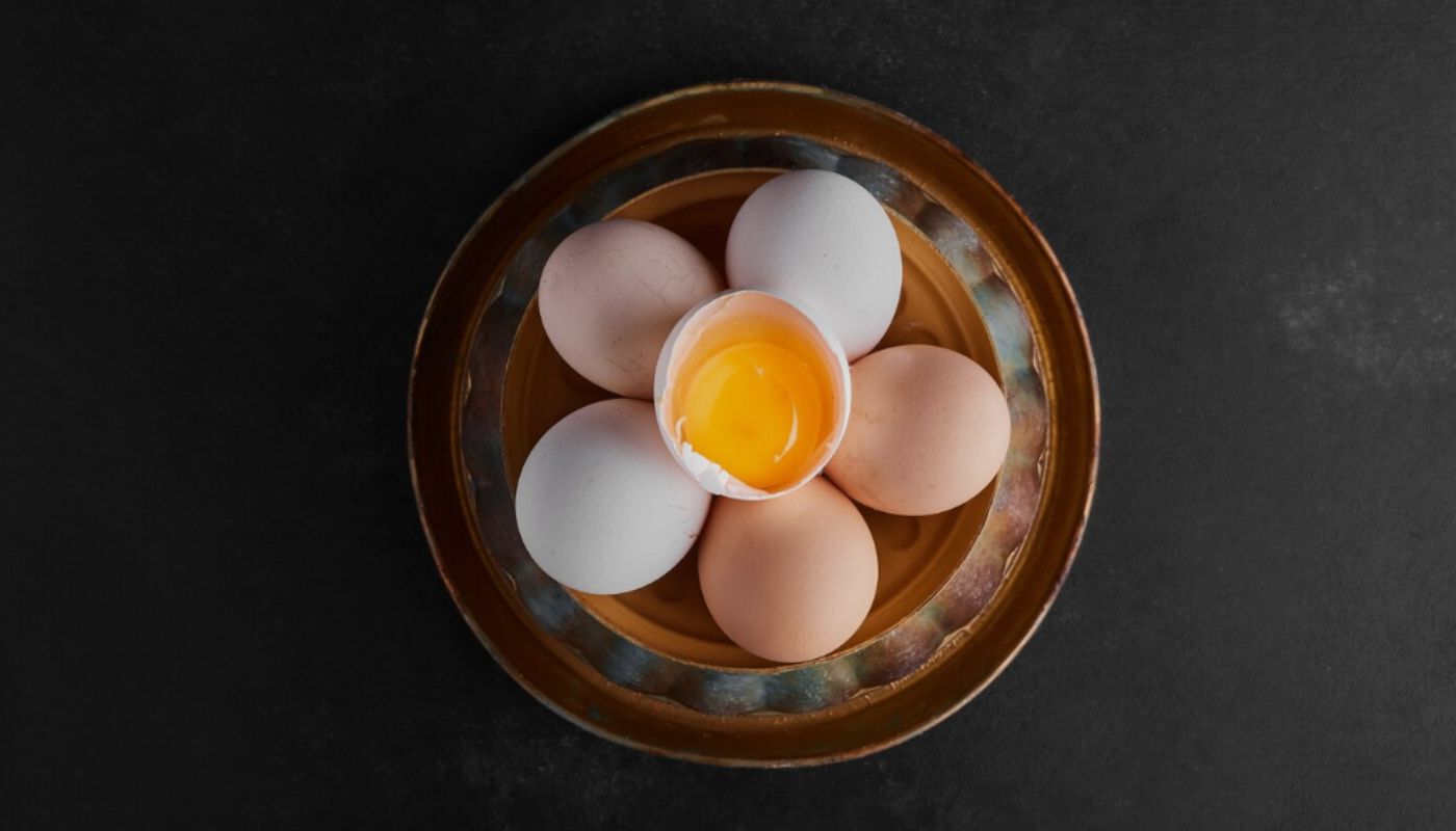 Eggs and Digestion: What You Need to Know – thegoodbug