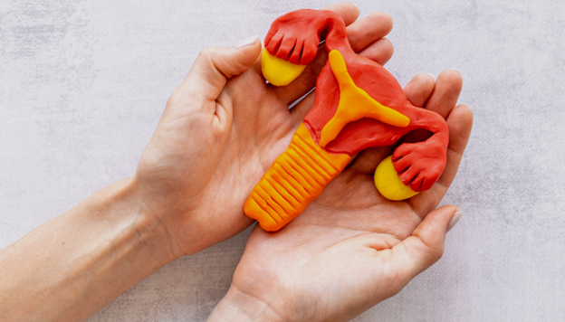 Addressing Chronic Inflammation in PCOS Through Gut Health – thegoodbug