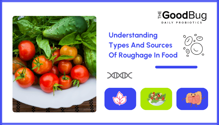 What Is Roughage Definition And Food List High Fiber Diet Benefits